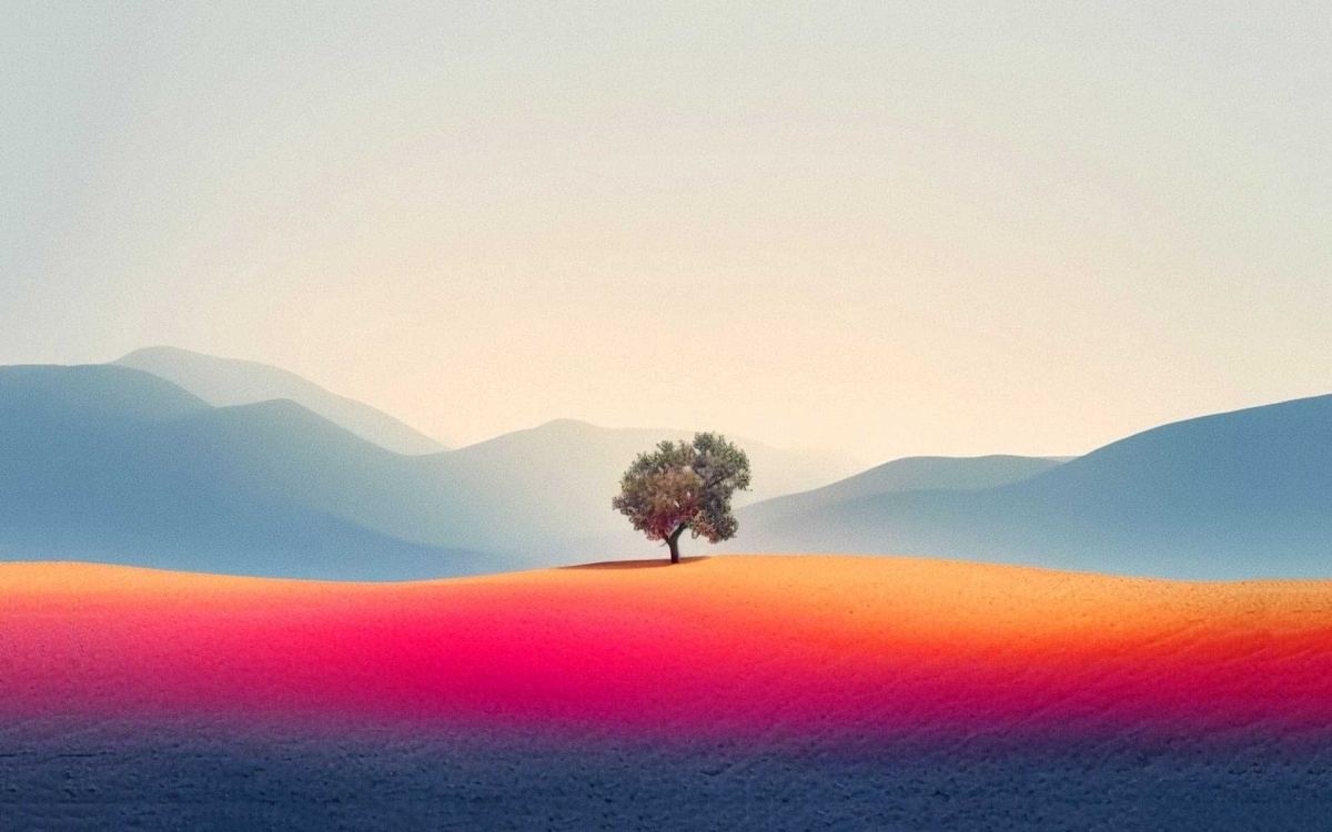 Colorful Trees Wallpapers - Wallpaper Cave