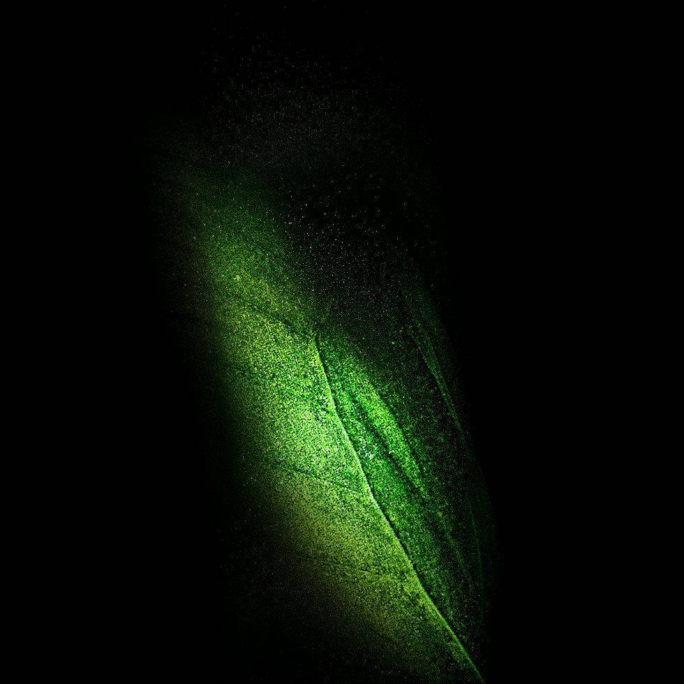 Green Oled Wallpapers - Wallpaper Cave