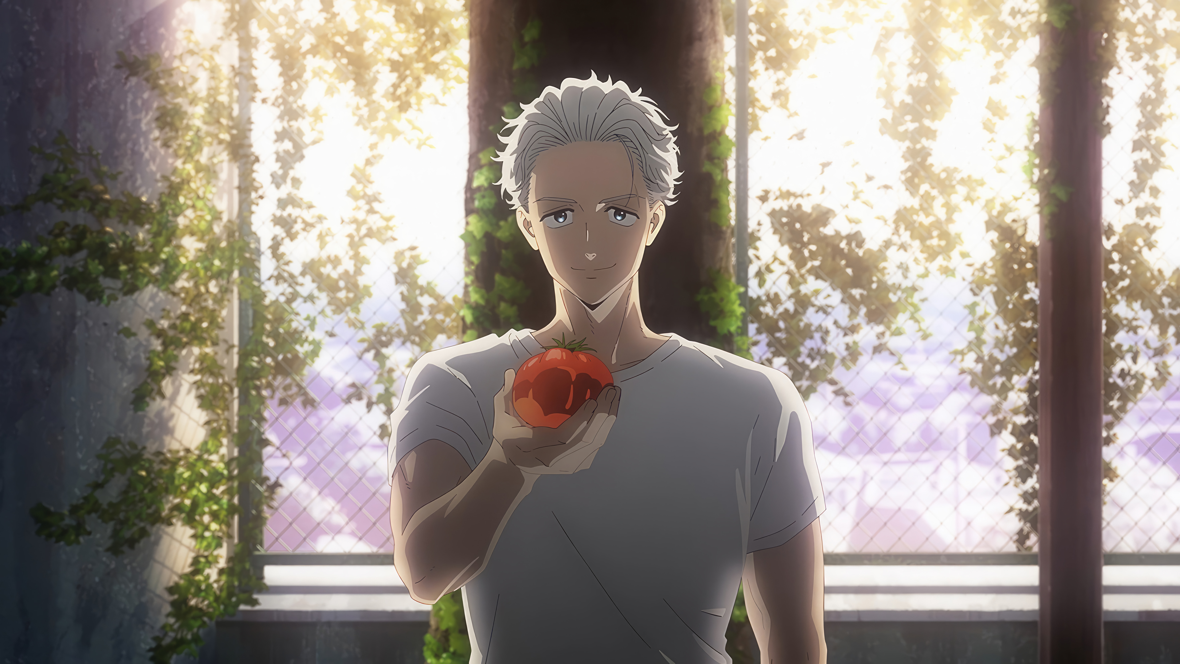 Wind Breaker 4k PC Wallpapers - Wallpaper Cave