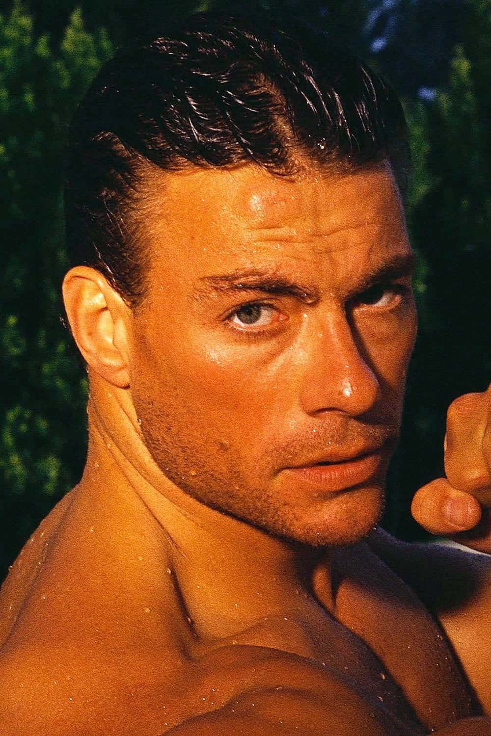 Jean Claude Van Damme Phone Wallpapers - Wallpaper Cave