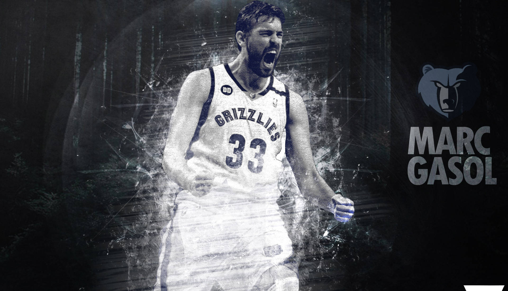 Marc Gasol Wallpapers - Wallpaper Cave