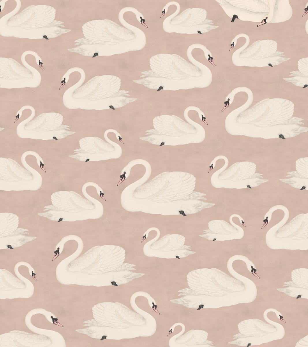 Swan Wallpapers - Wallpaper Cave