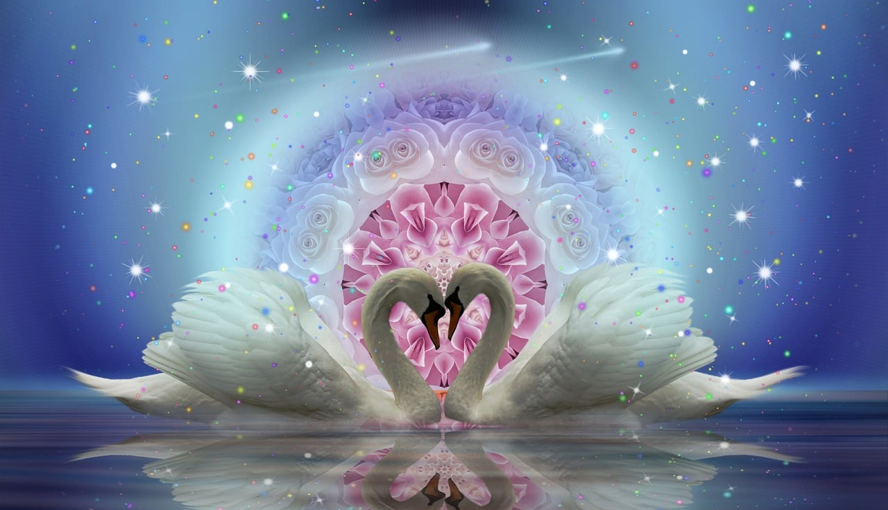 Swan Wallpapers - Wallpaper Cave