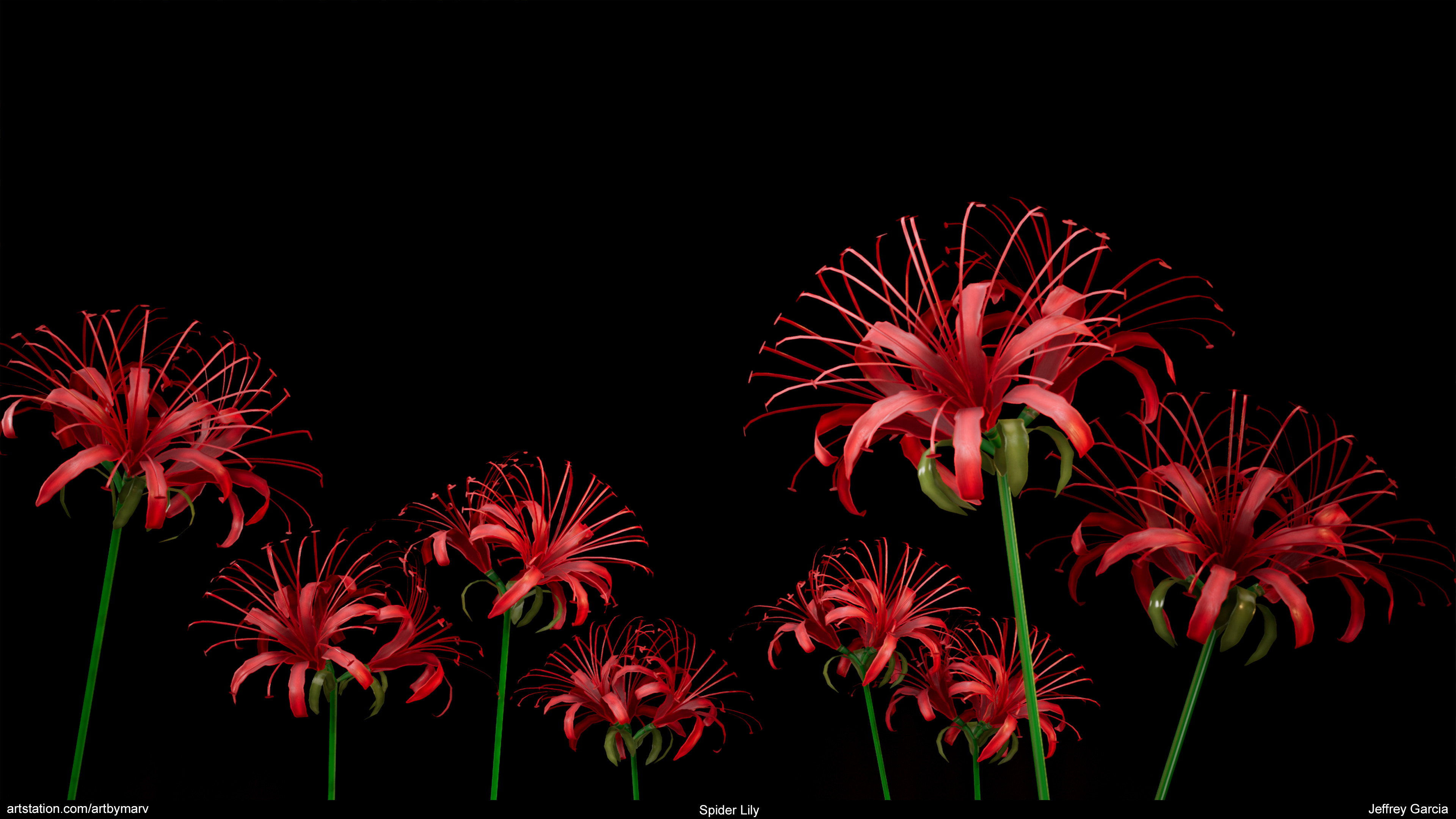 Red Spider Lily 4k Wallpapers - Wallpaper Cave