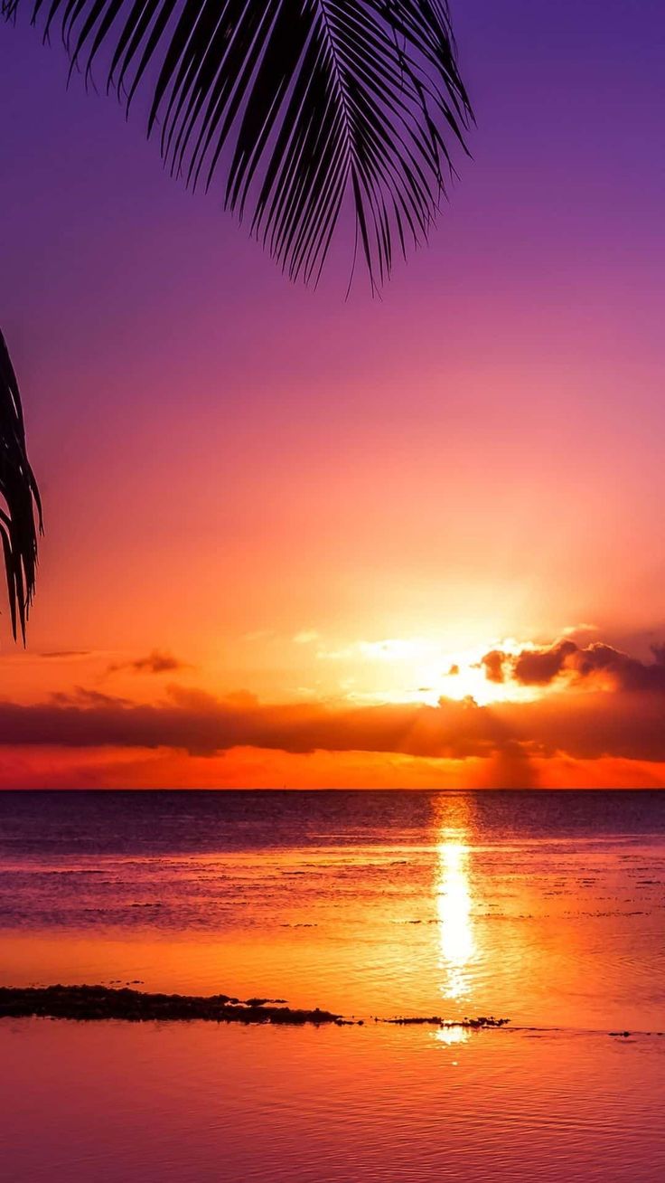 Sunset Beach iPhone Wallpapers - Wallpaper Cave