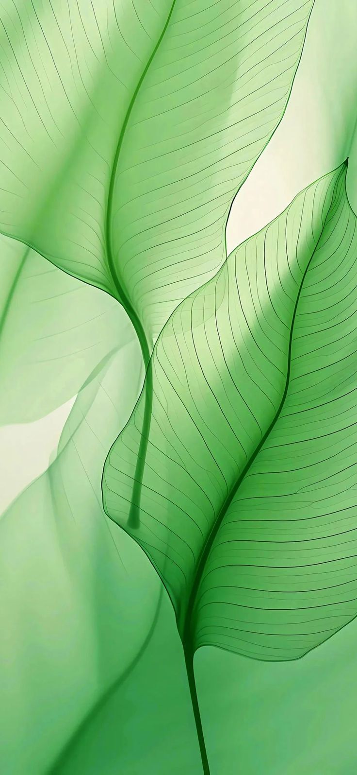 Abstract Green iPhone Wallpapers - Wallpaper Cave