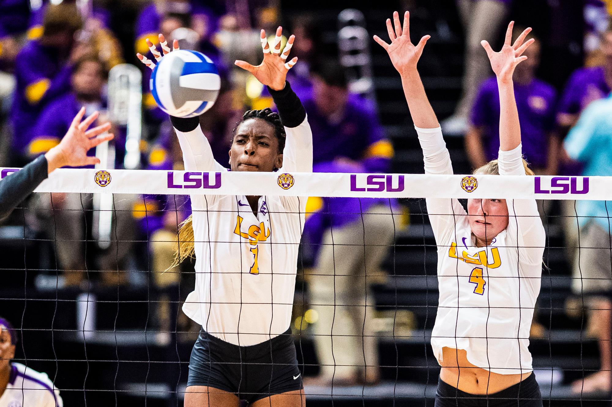LSU Volleyball Wallpapers - Wallpaper Cave
