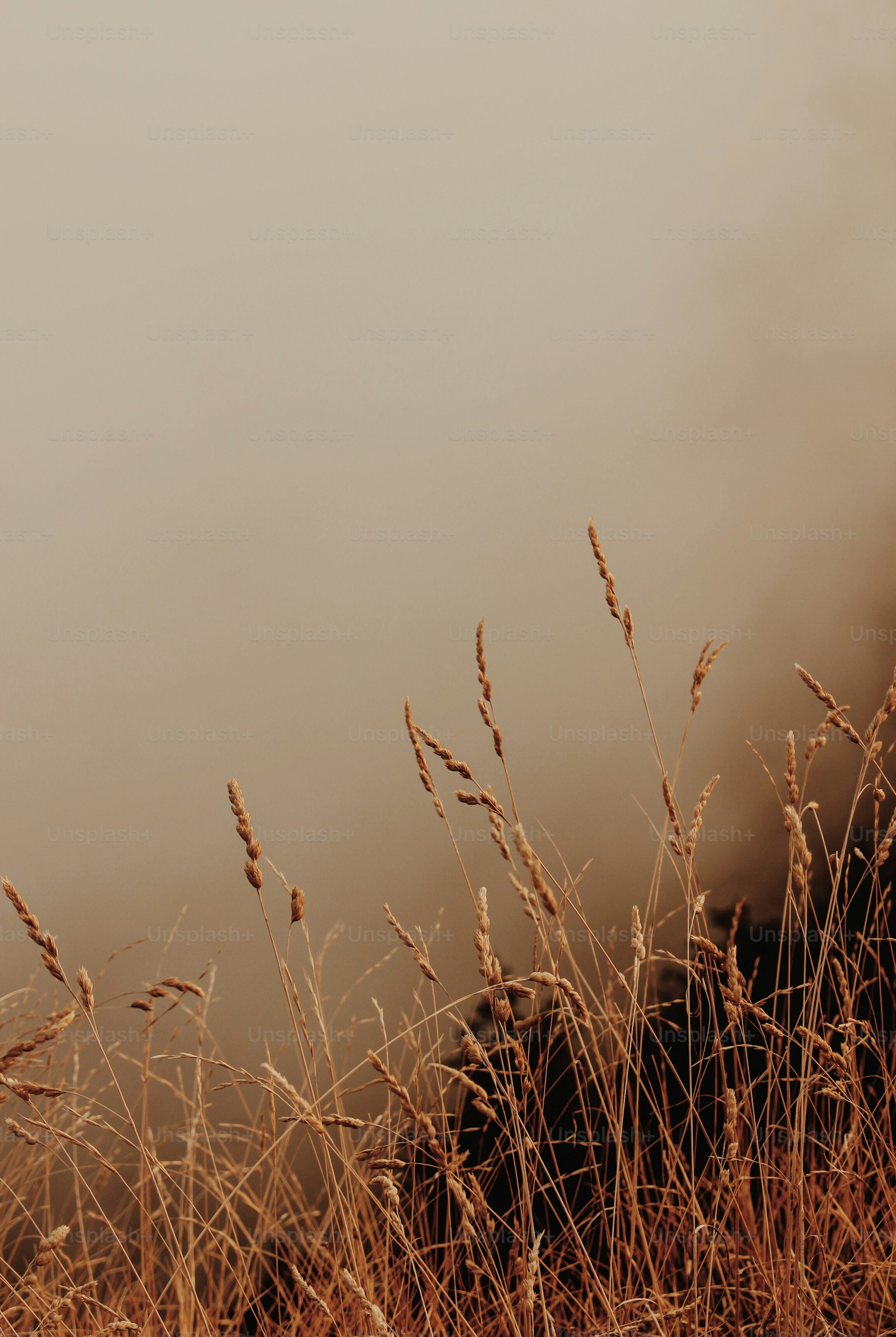 Soft Nature Wallpapers - Wallpaper Cave