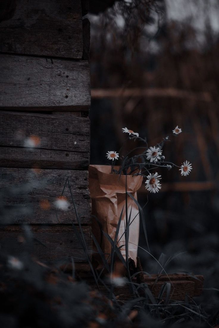 Soft Nature Wallpapers - Wallpaper Cave