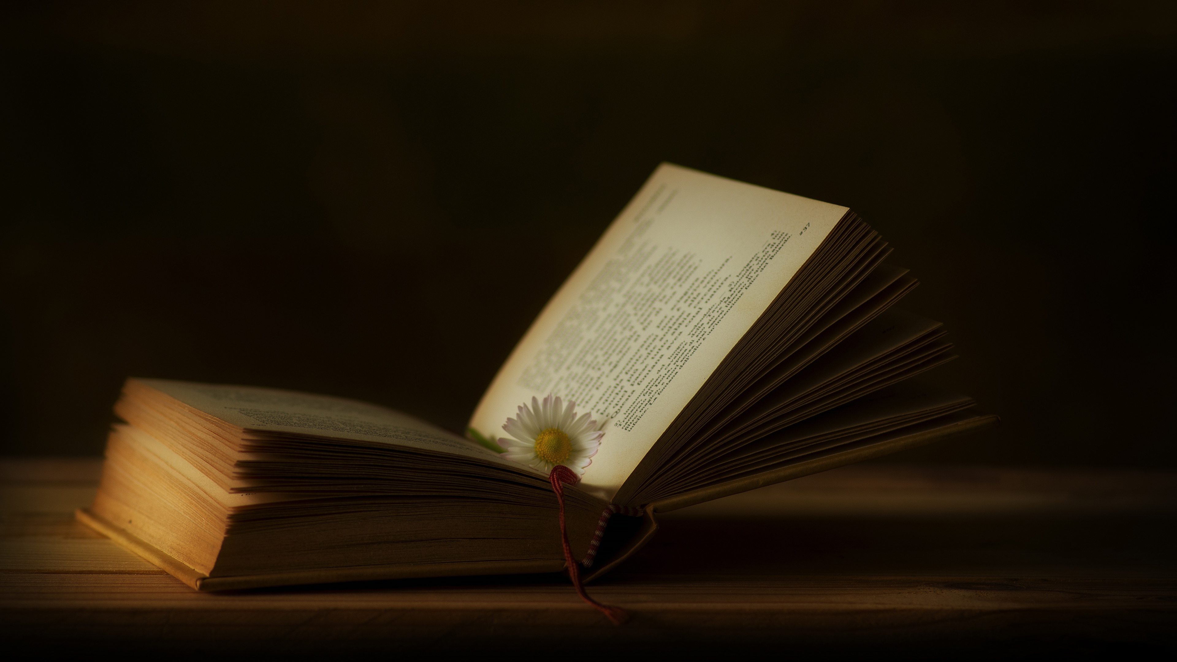 Bookish Desktop Wallpapers - Wallpaper Cave