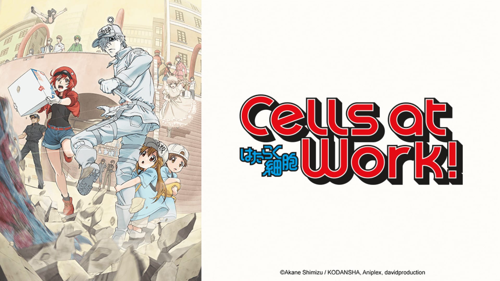 Cells At Work HD Wallpapers - Wallpaper Cave