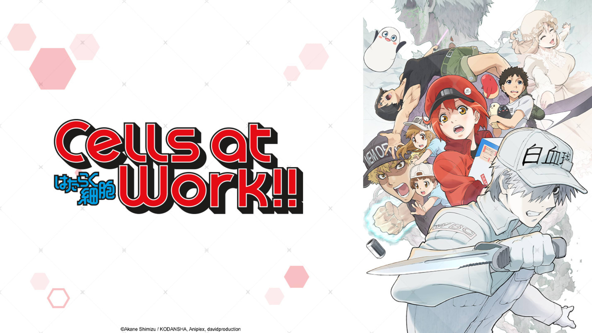 Cells At Work HD Wallpapers - Wallpaper Cave
