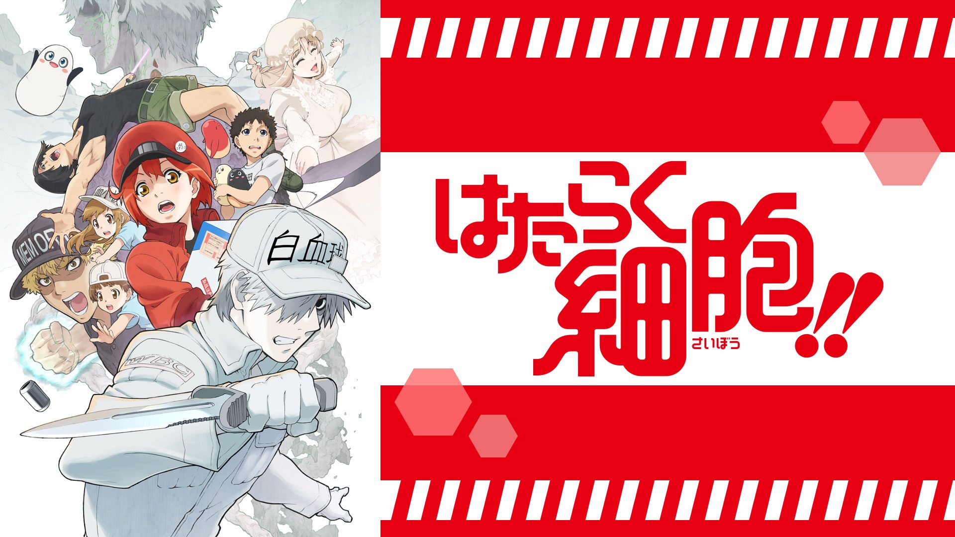 Cells At Work HD Wallpapers - Wallpaper Cave