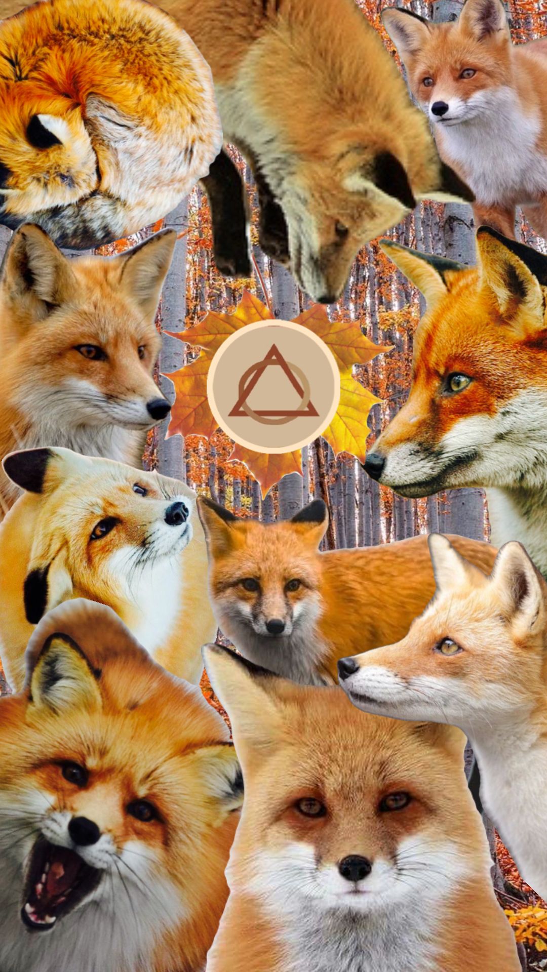 Therian Fox Wallpapers - Wallpaper Cave