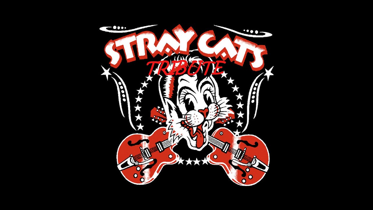 Stray Cats Wallpapers - Wallpaper Cave