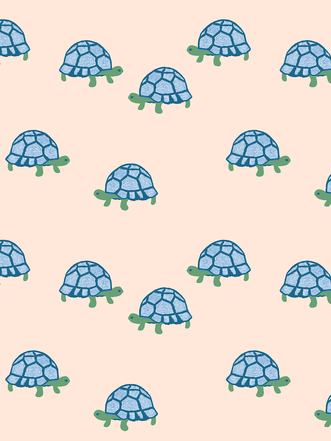 Tortoise iPhone Wallpapers - Wallpaper Cave