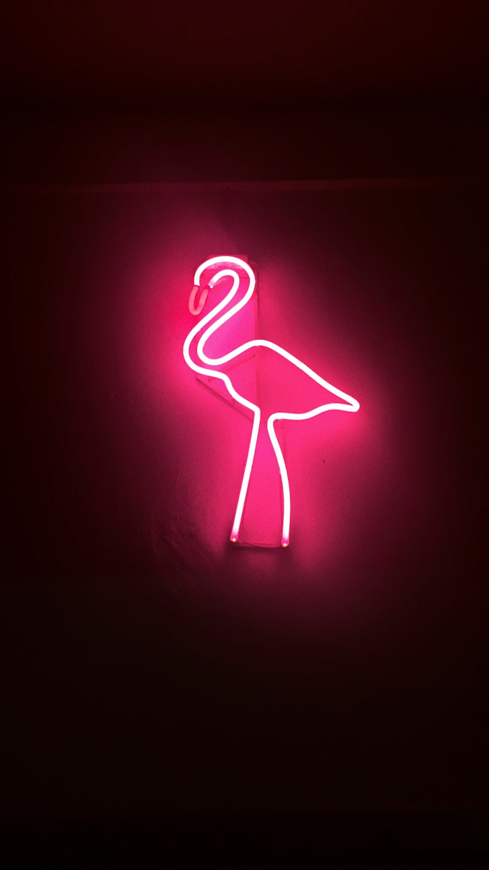 iPhone Flamingo Wallpapers - Wallpaper Cave