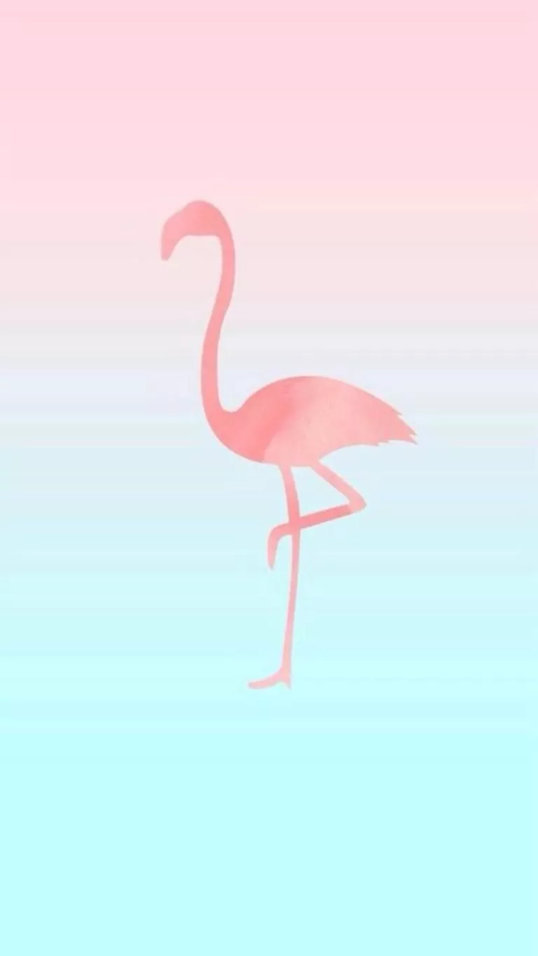 iPhone Flamingo Wallpapers - Wallpaper Cave
