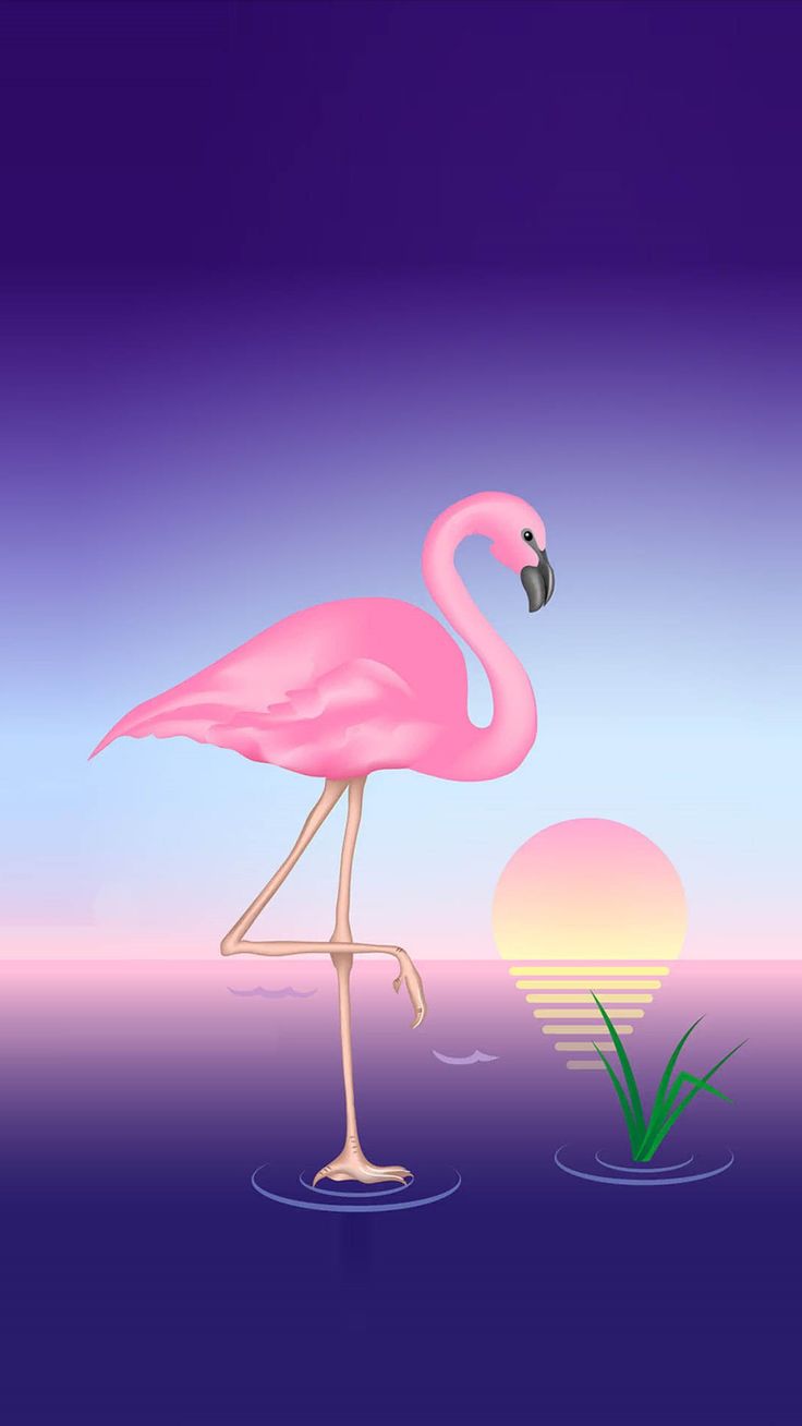 iPhone Flamingo Wallpapers - Wallpaper Cave
