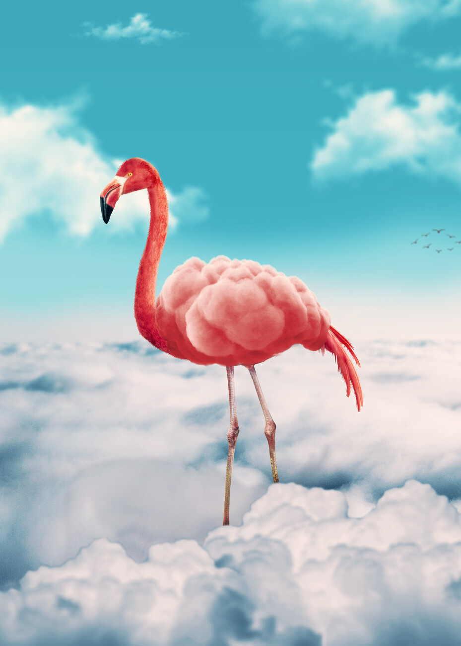 iPhone Flamingo Wallpapers - Wallpaper Cave