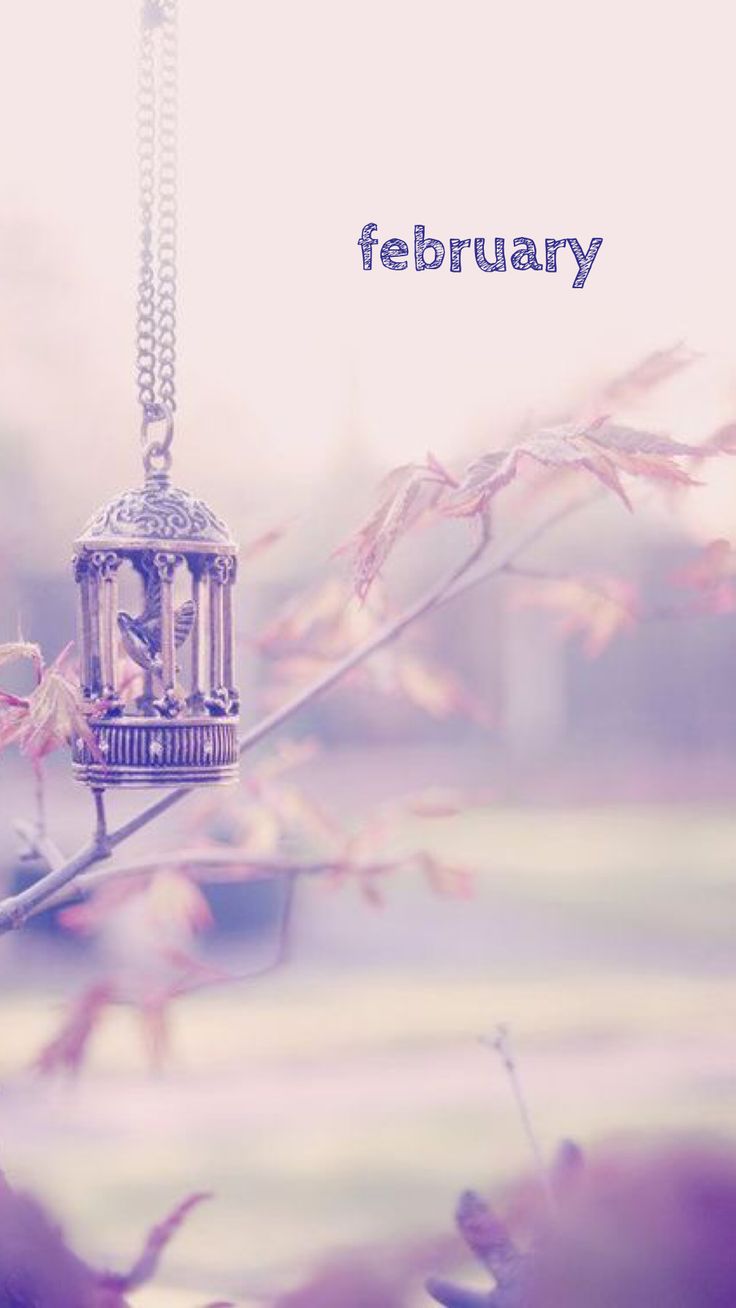 Aesthetic February Wallpapers - Wallpaper Cave