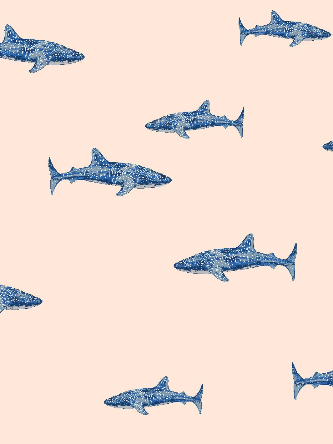 Aesthetic Shark Wallpapers - Wallpaper Cave