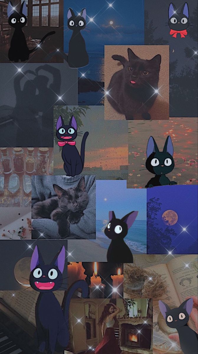 Jiji Cat Wallpapers - Wallpaper Cave