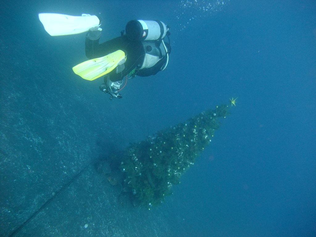 Underwater Christmas Tree Wallpapers - Wallpaper Cave