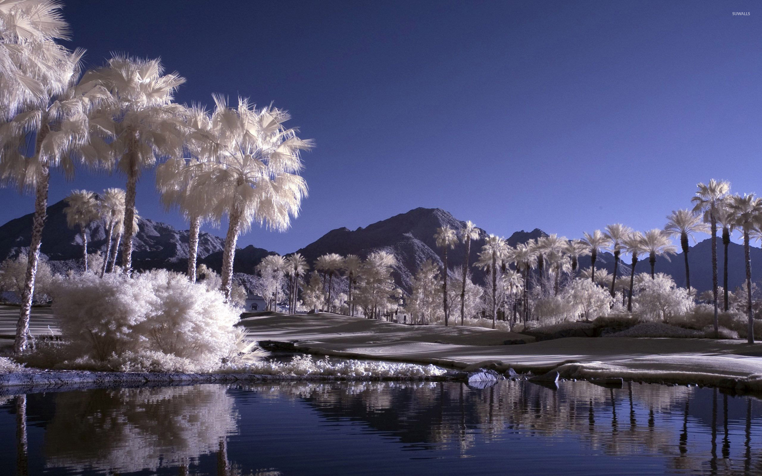 Infrared Wallpapers - Wallpaper Cave