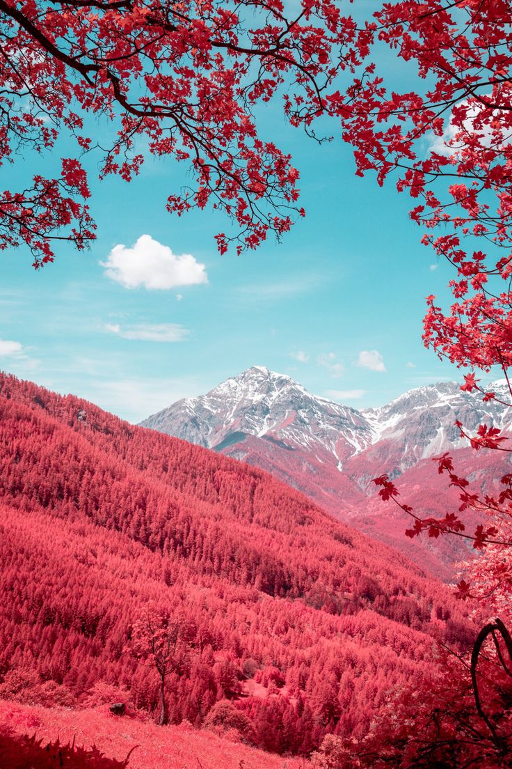 Infrared Wallpapers - Wallpaper Cave