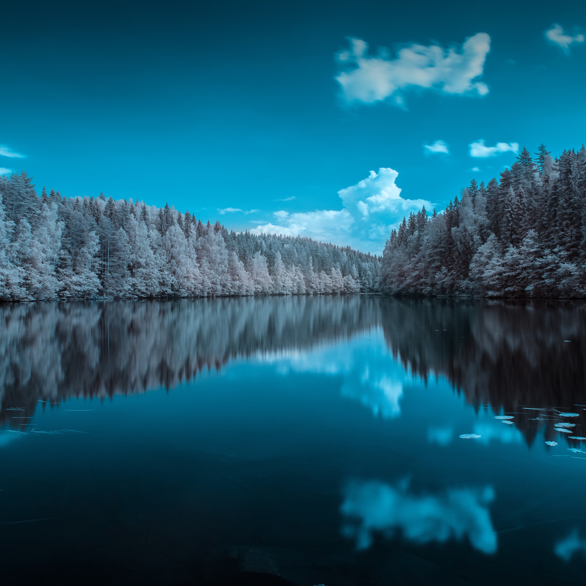 Infrared Wallpapers - Wallpaper Cave