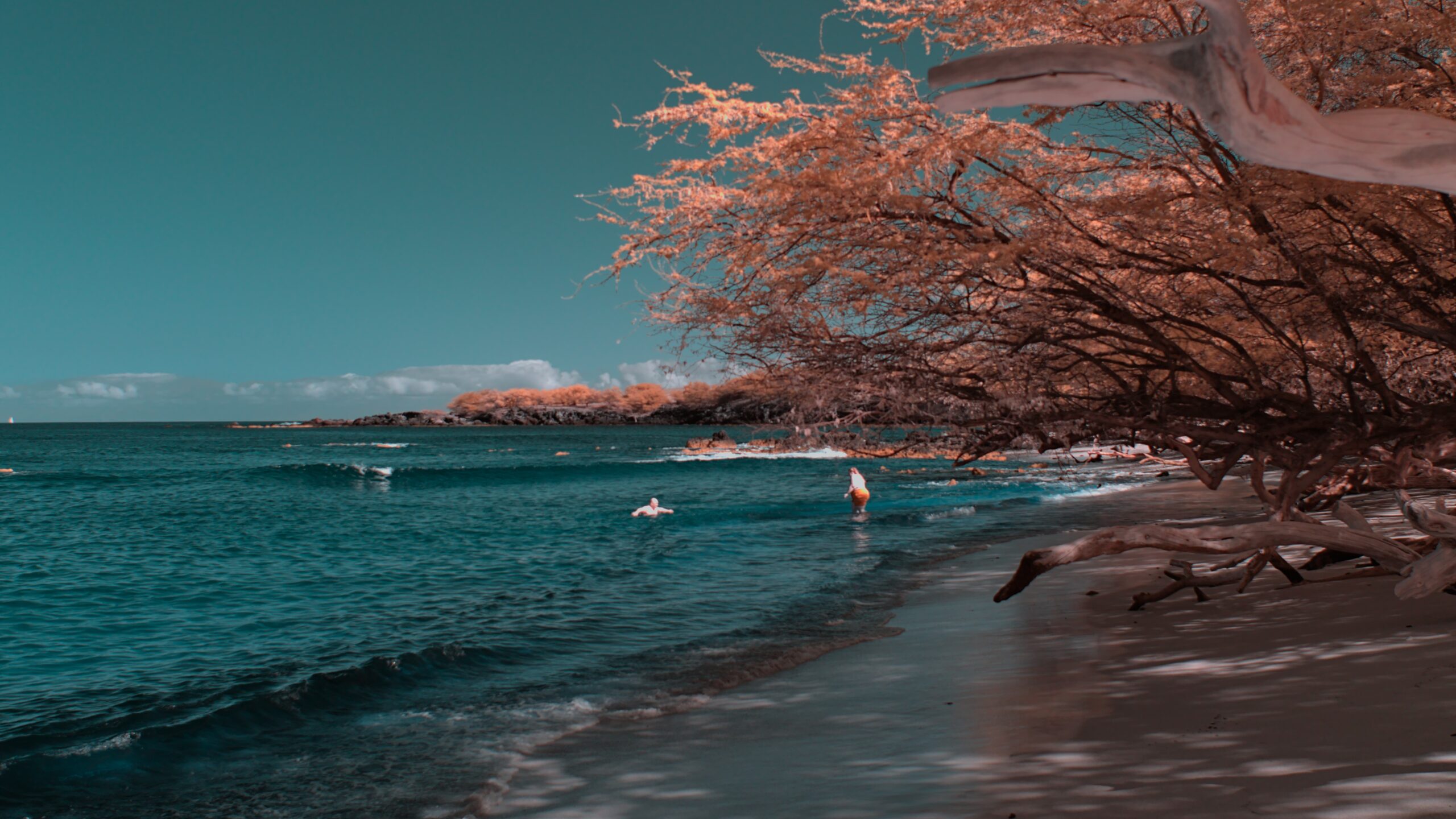 Infrared Wallpapers - Wallpaper Cave