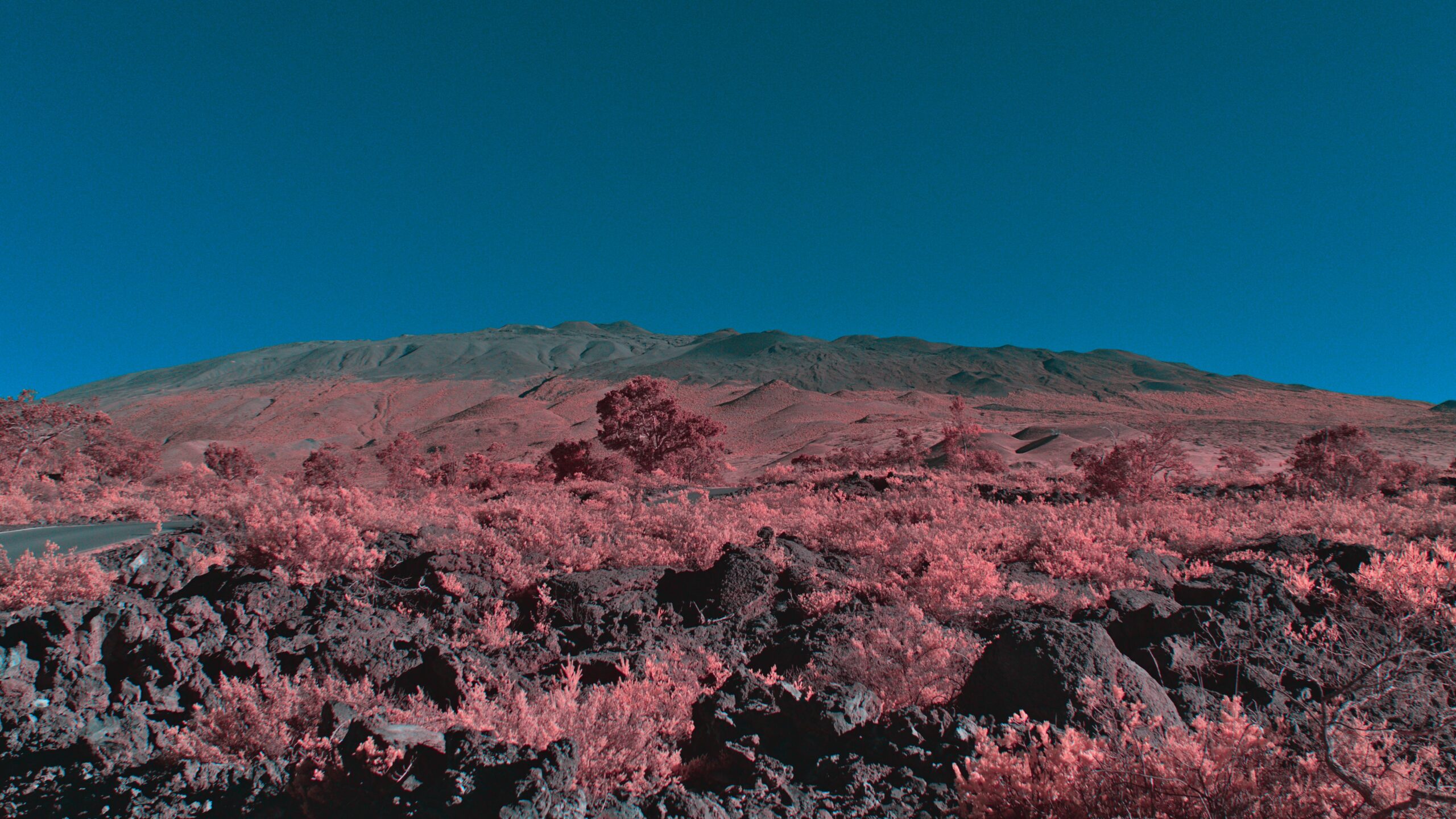 Infrared Wallpapers - Wallpaper Cave