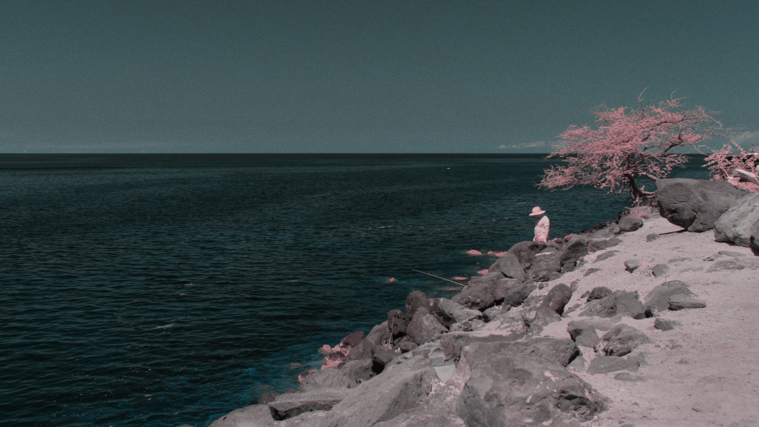 Infrared Wallpapers - Wallpaper Cave