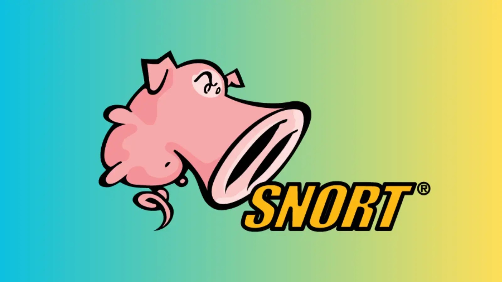 Snort Wallpapers - Wallpaper Cave