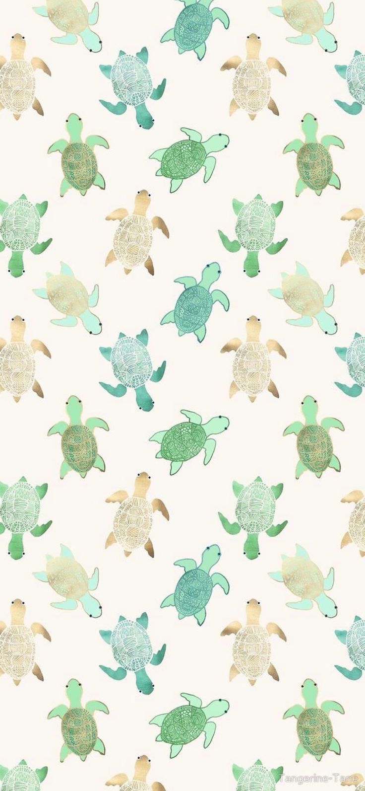 Turtle Wallpapers - Wallpaper Cave