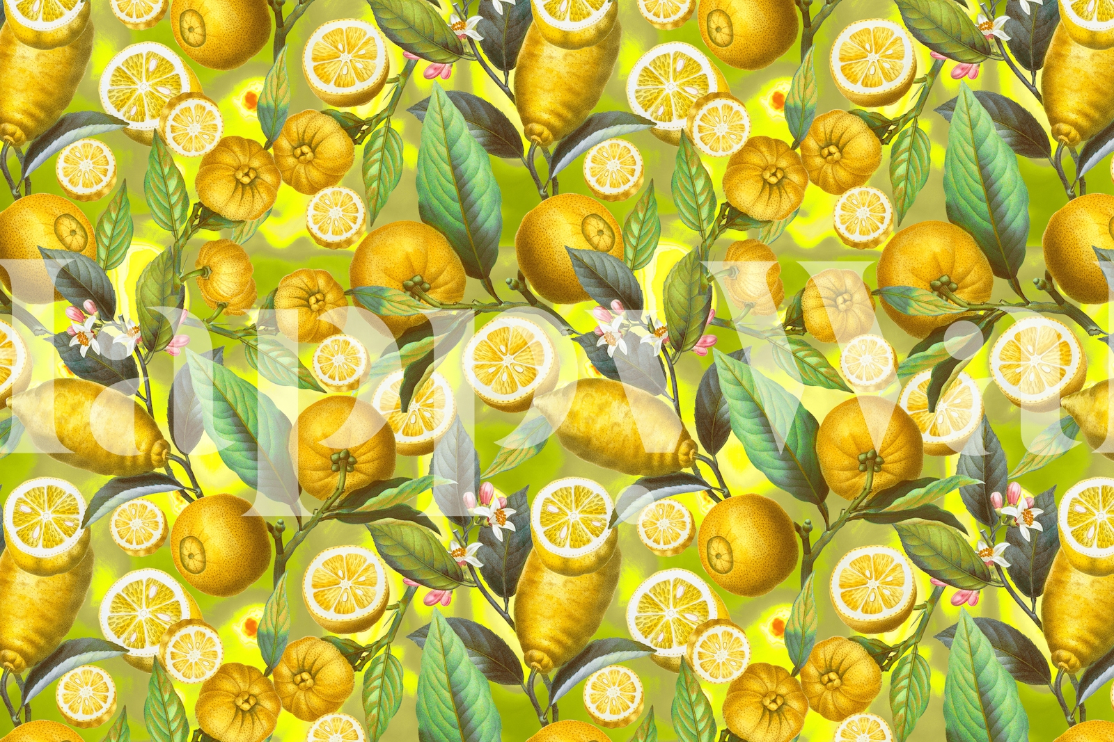 Summer Of Lime Wallpapers - Wallpaper Cave