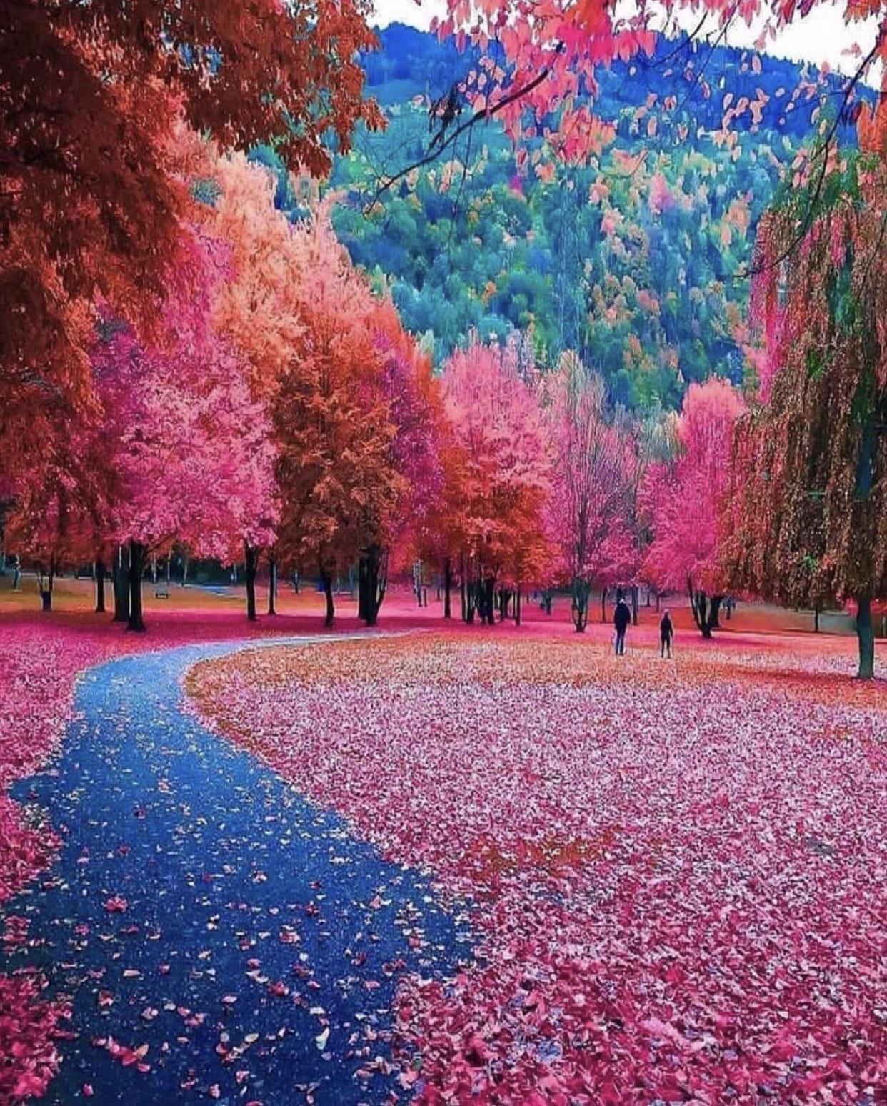 Switzerland Autumn HD Wallpapers - Wallpaper Cave