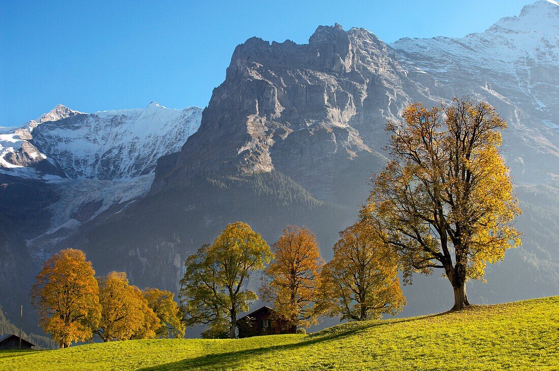 Switzerland Autumn HD Wallpapers - Wallpaper Cave
