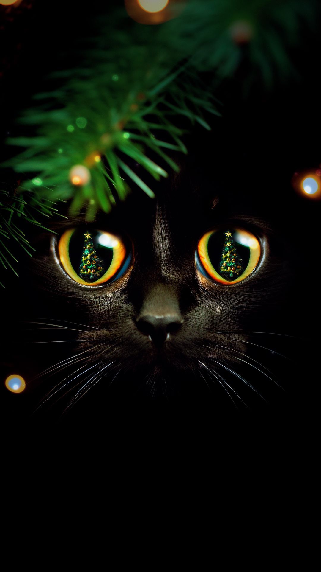 Cat Christmas Tree Wallpapers - Wallpaper Cave