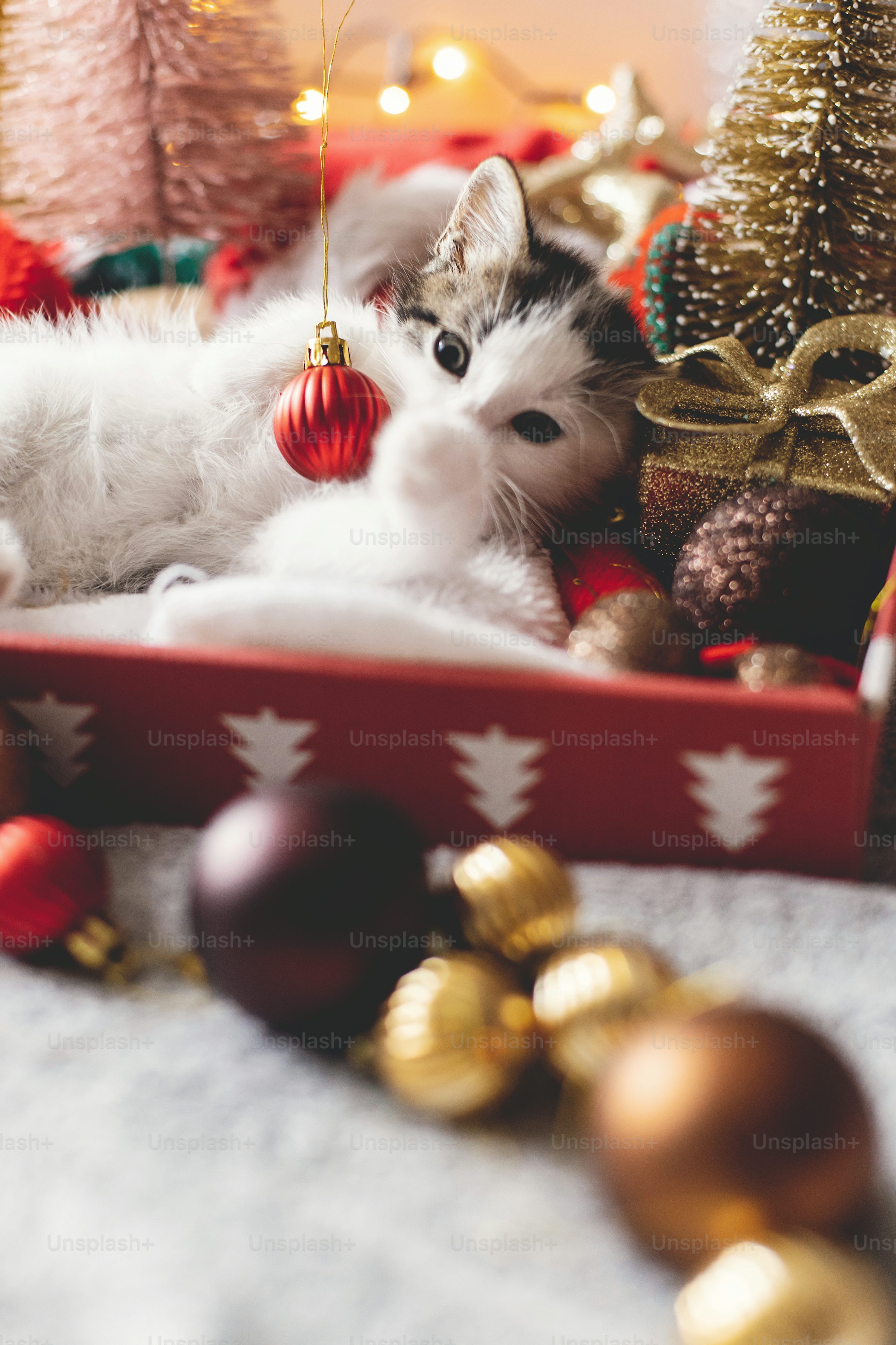 Cat Christmas Tree Wallpapers - Wallpaper Cave