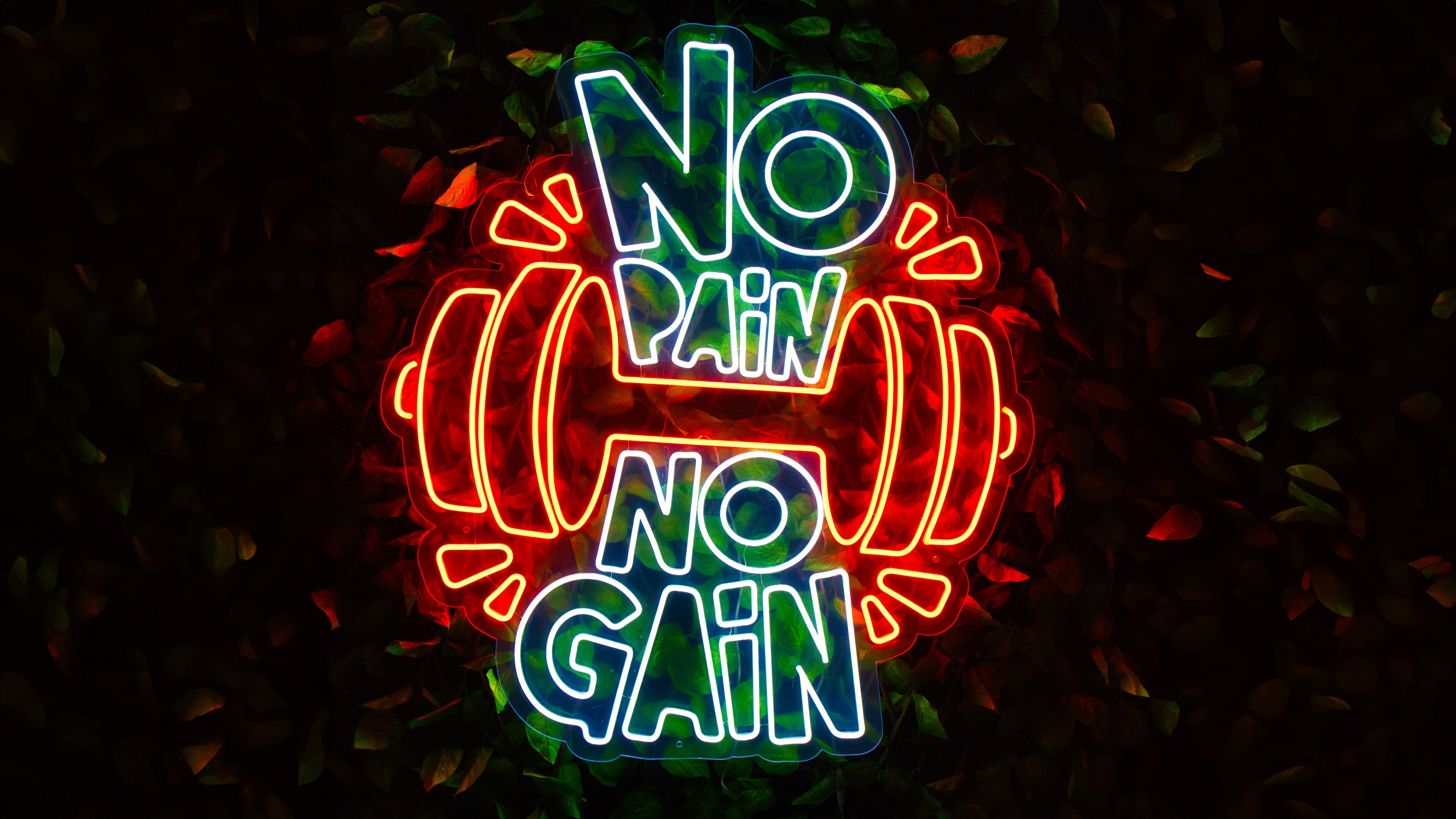 No Pain No Gain Wallpaper Hd