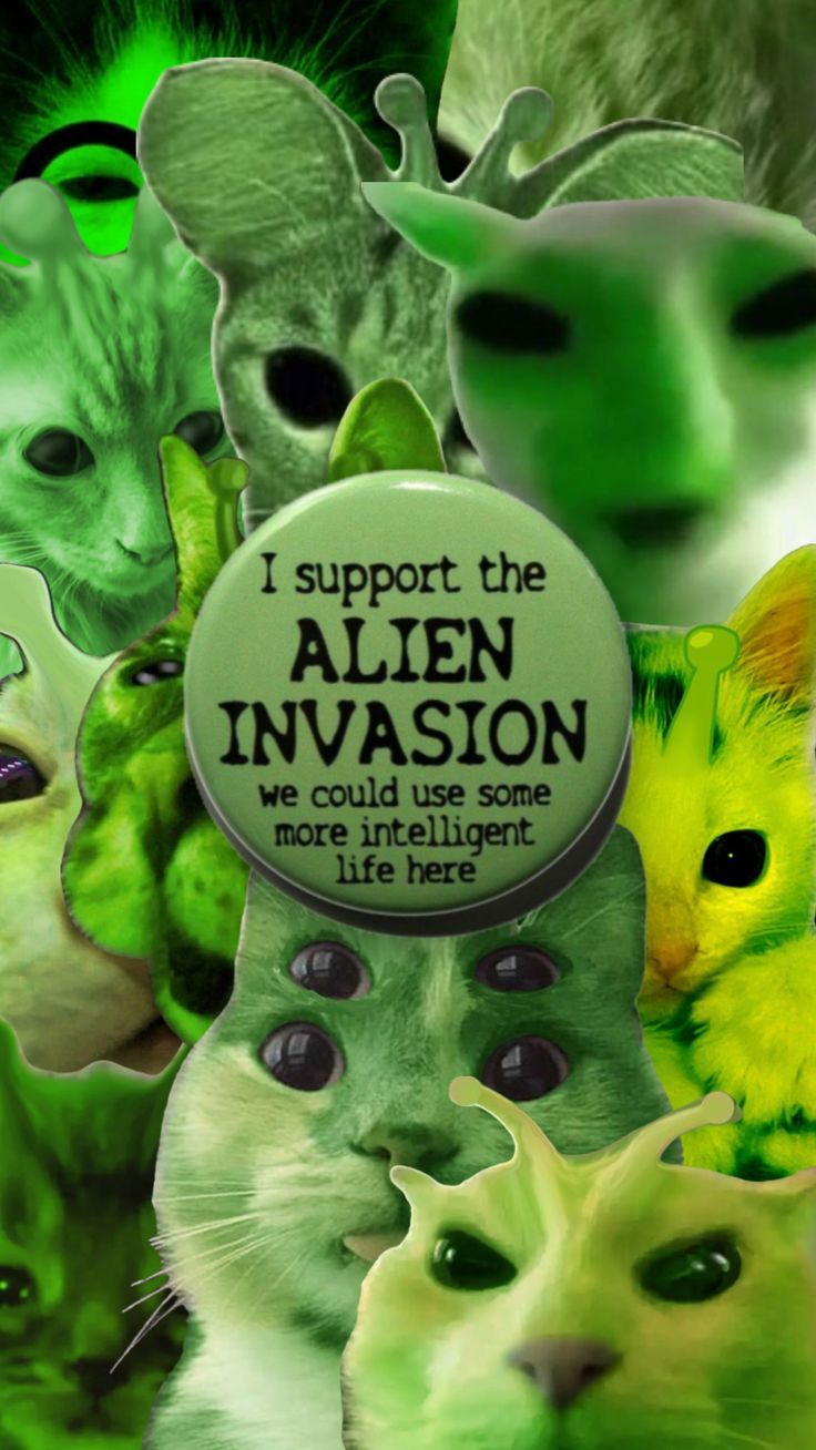 Alien Cat Wallpapers - Wallpaper Cave