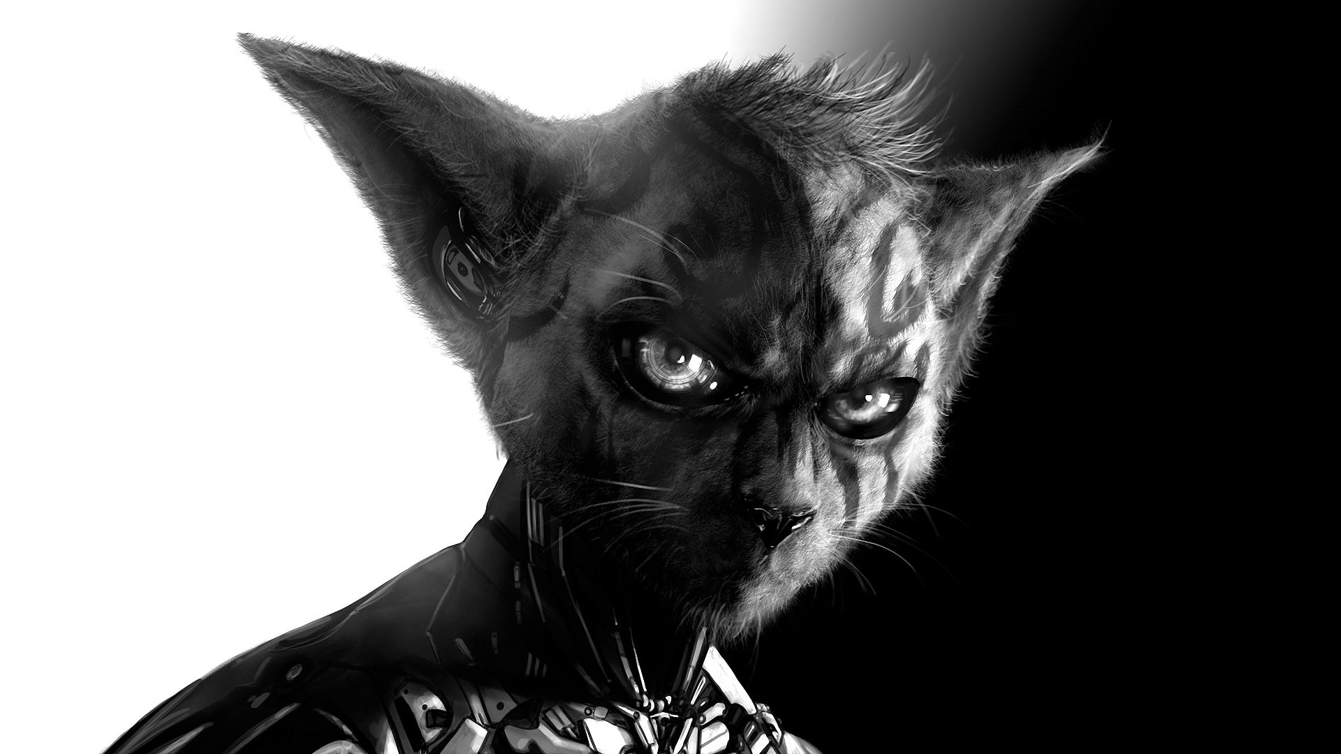 Alien Cat Wallpapers - Wallpaper Cave