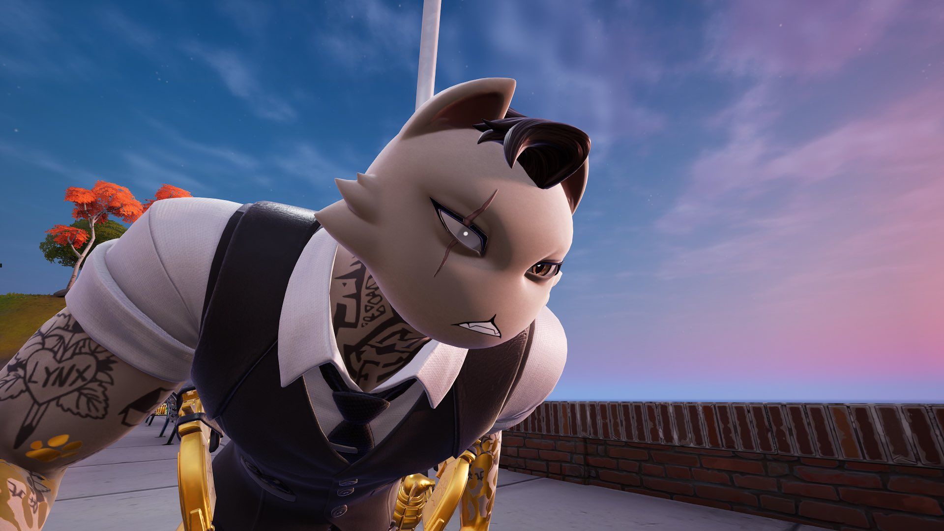 Meowdas Wallpapers - Wallpaper Cave