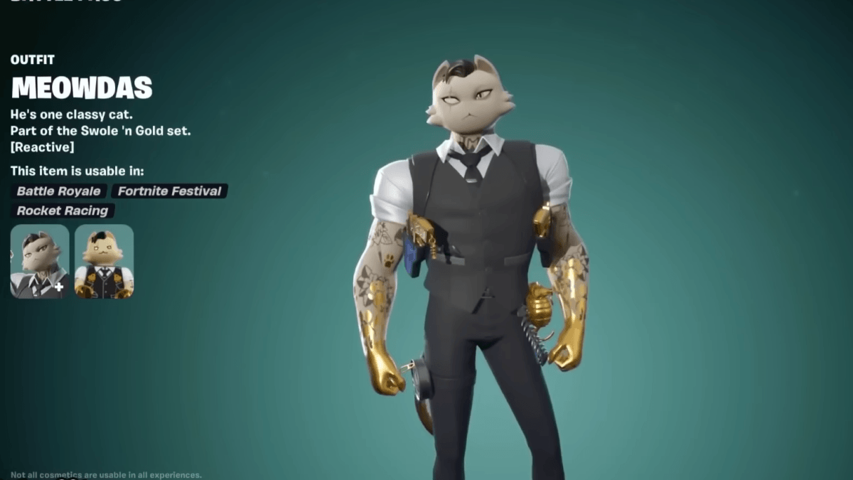 Meowdas Wallpapers - Wallpaper Cave