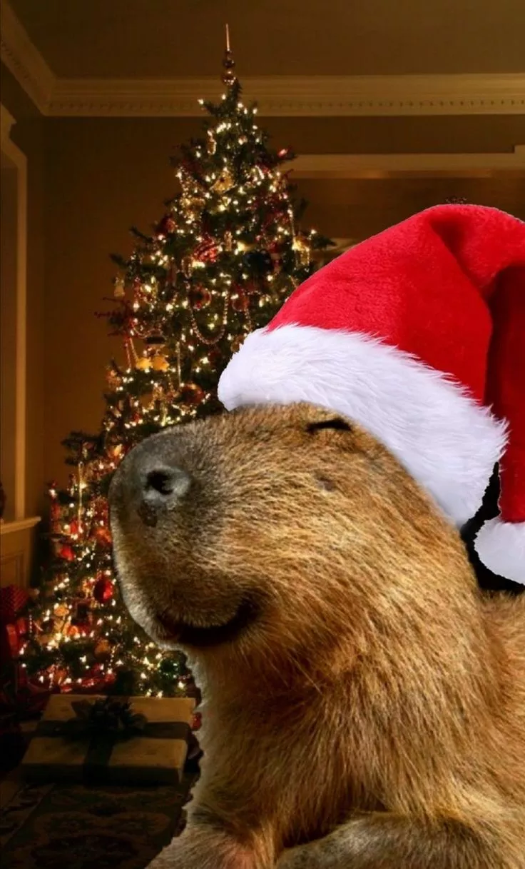 Christmas Capybara Wallpapers - Wallpaper Cave