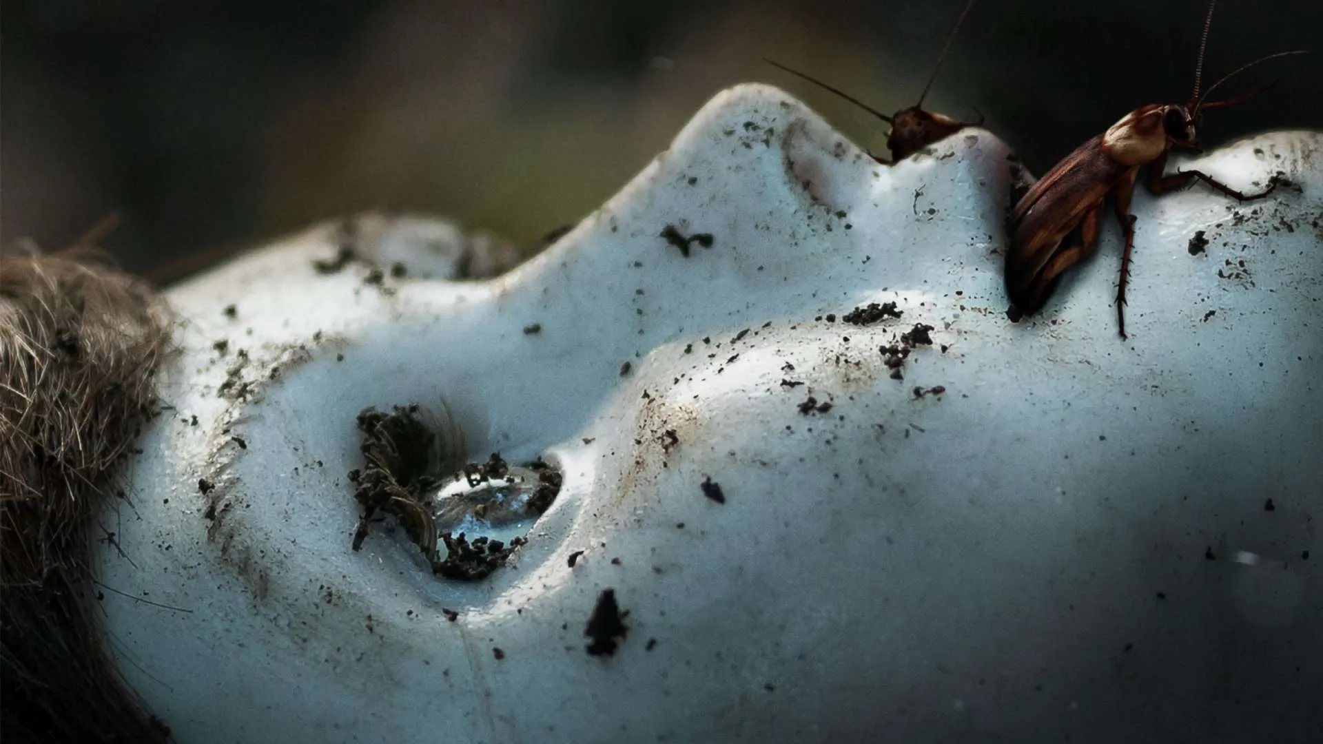 Brahms Heelshire Wallpapers - Wallpaper Cave