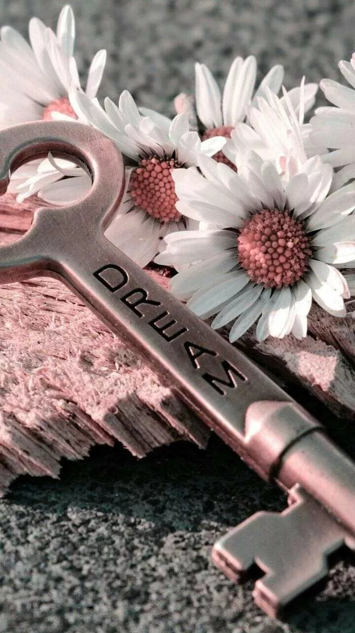 Skeleton Key Wallpapers - Wallpaper Cave