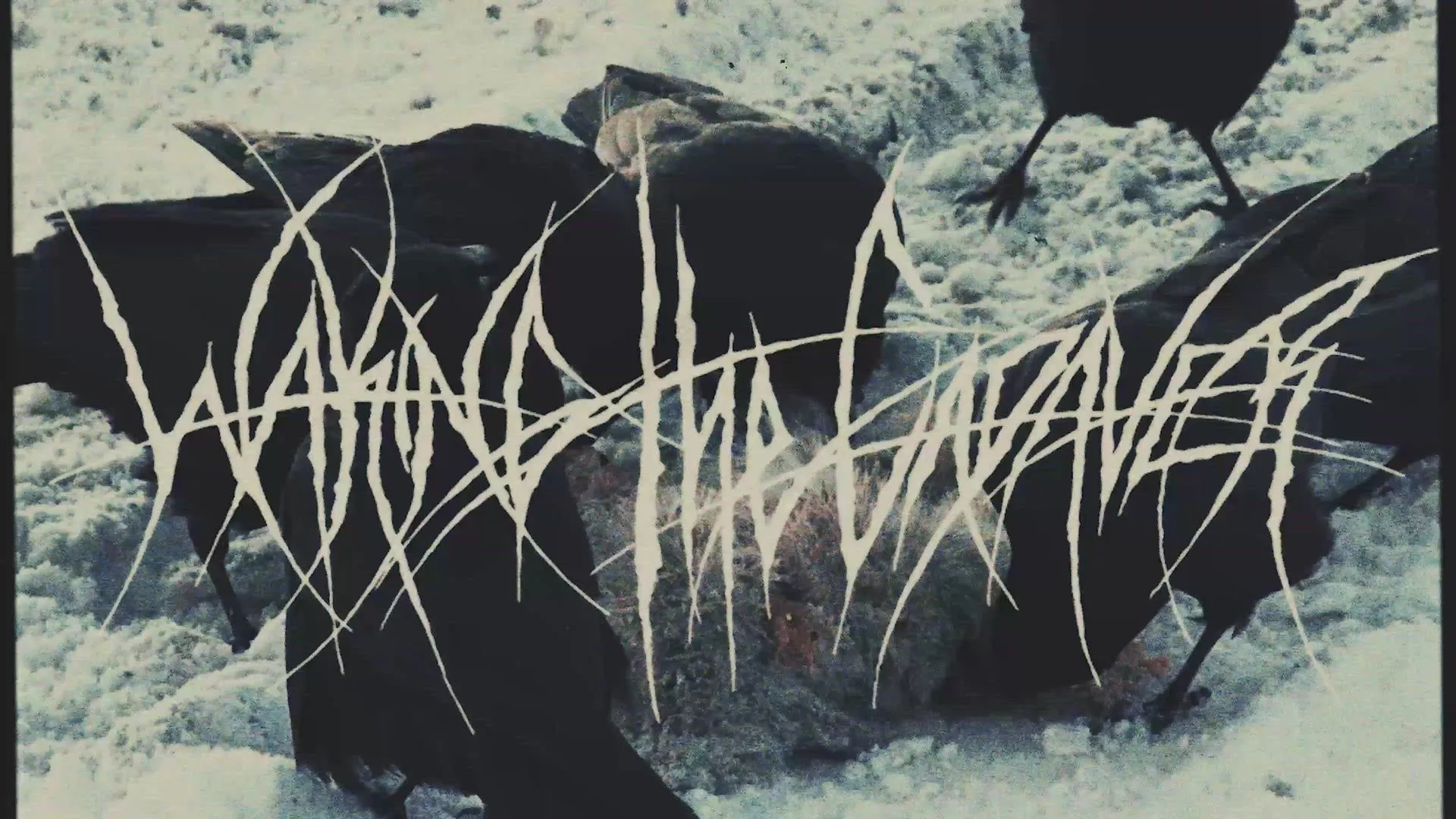 Waking The Cadaver Wallpapers - Wallpaper Cave